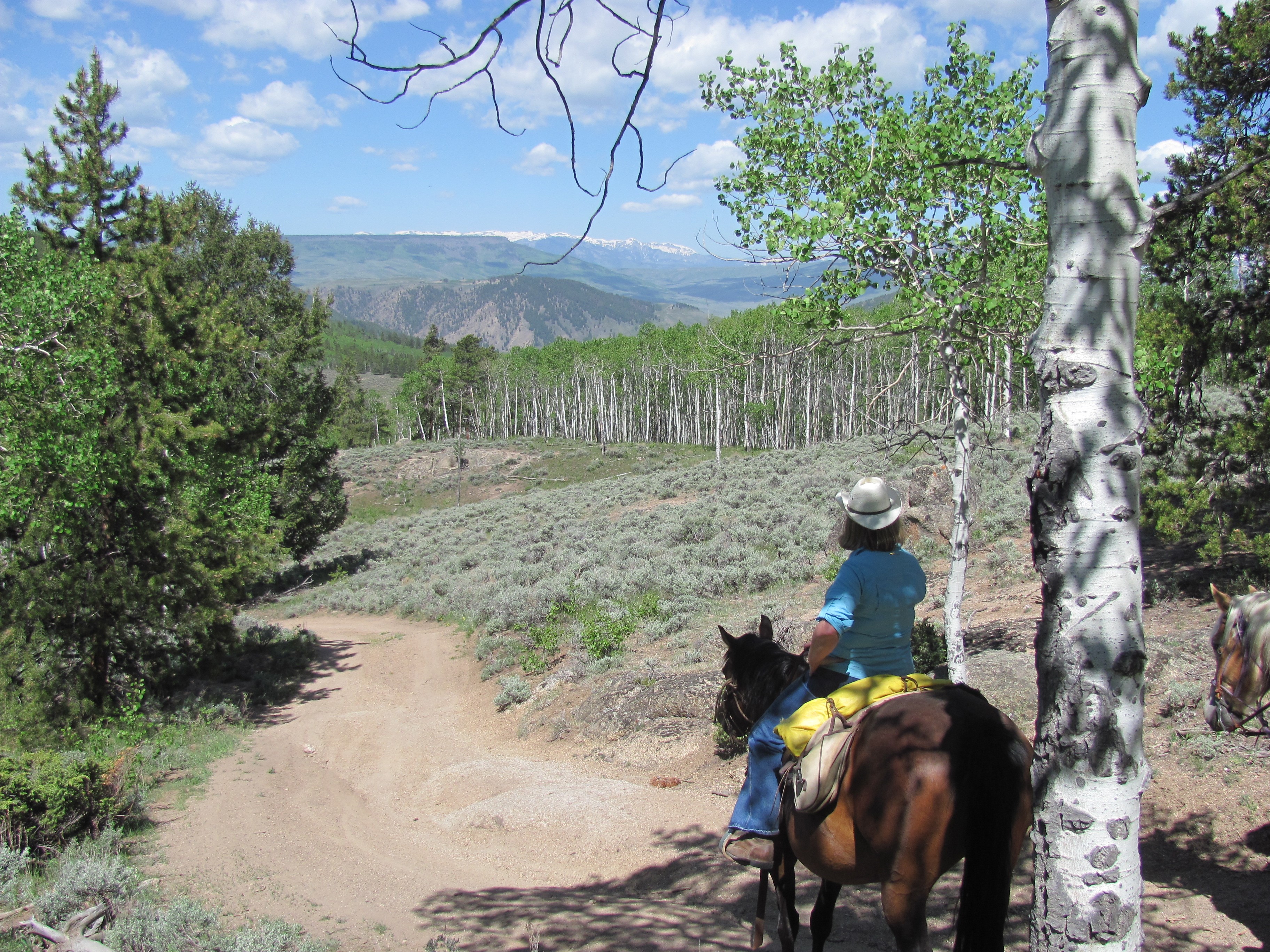 Commenting on Trail Management Plans : ELCR