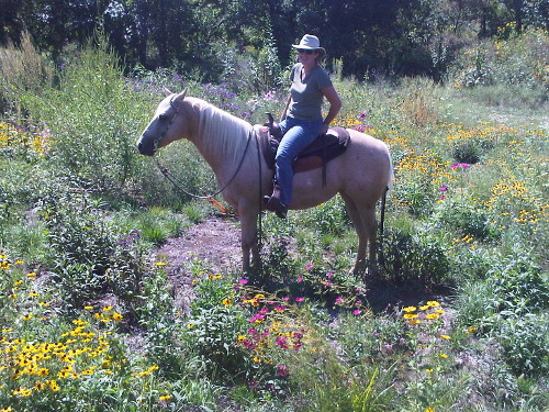 Directory of Equine Activity and Recreational Use Statutes for Horsemen ...