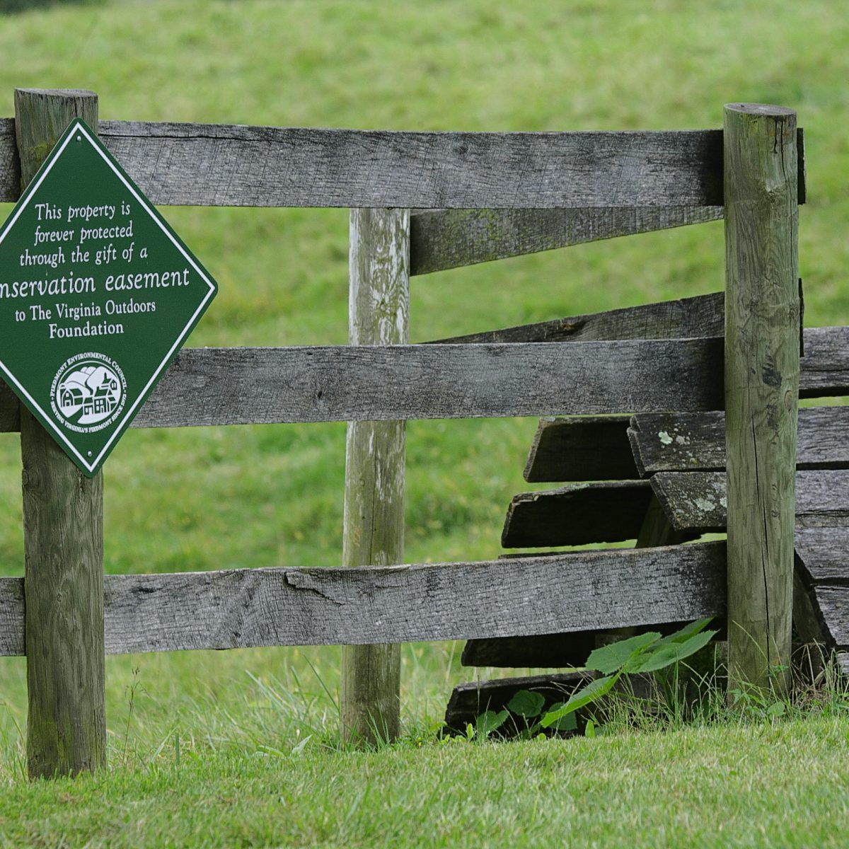 Equine Trail Easements: The Good, the Bad and the Muddy : ELCR