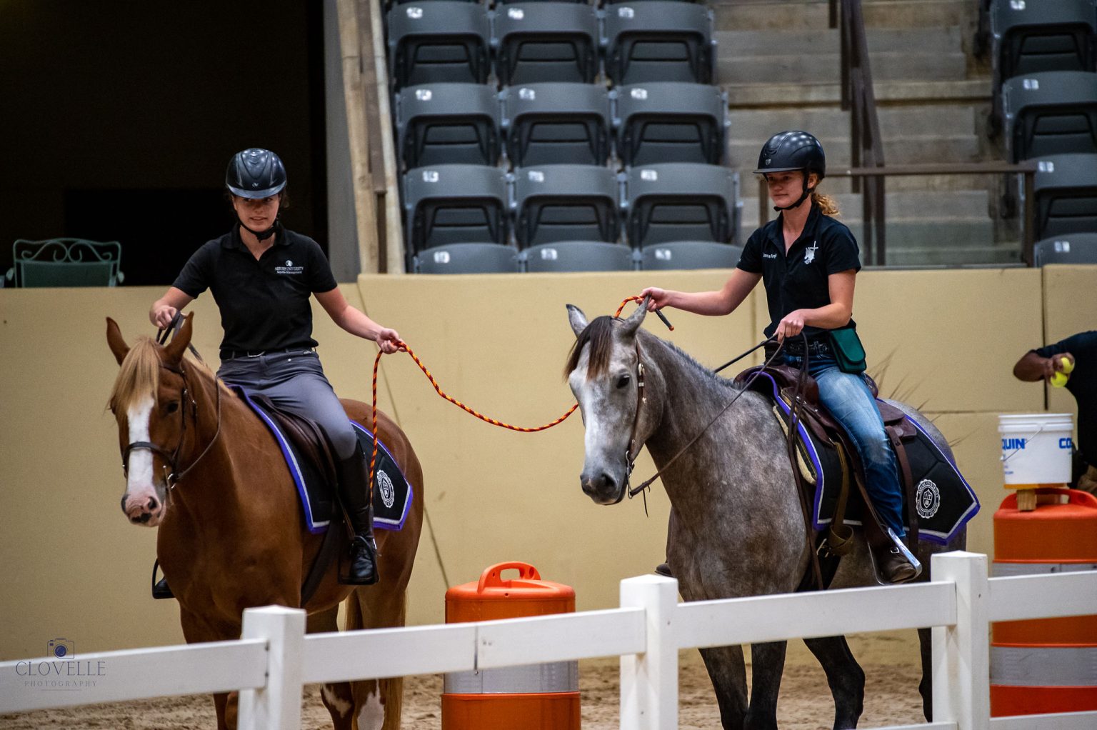 How Mounted Patrols Benefit Our Communities : ELCR
