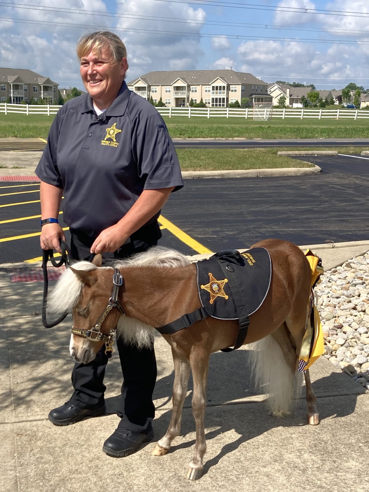 How Mounted Patrols Benefit Our Communities : ELCR